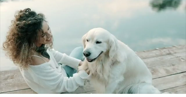 The 10 most affectionate dog breeds ever