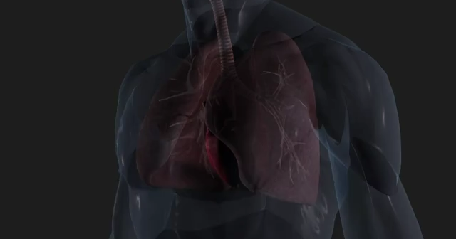 Deadly heart attacks are more common on 'Blue Monday'