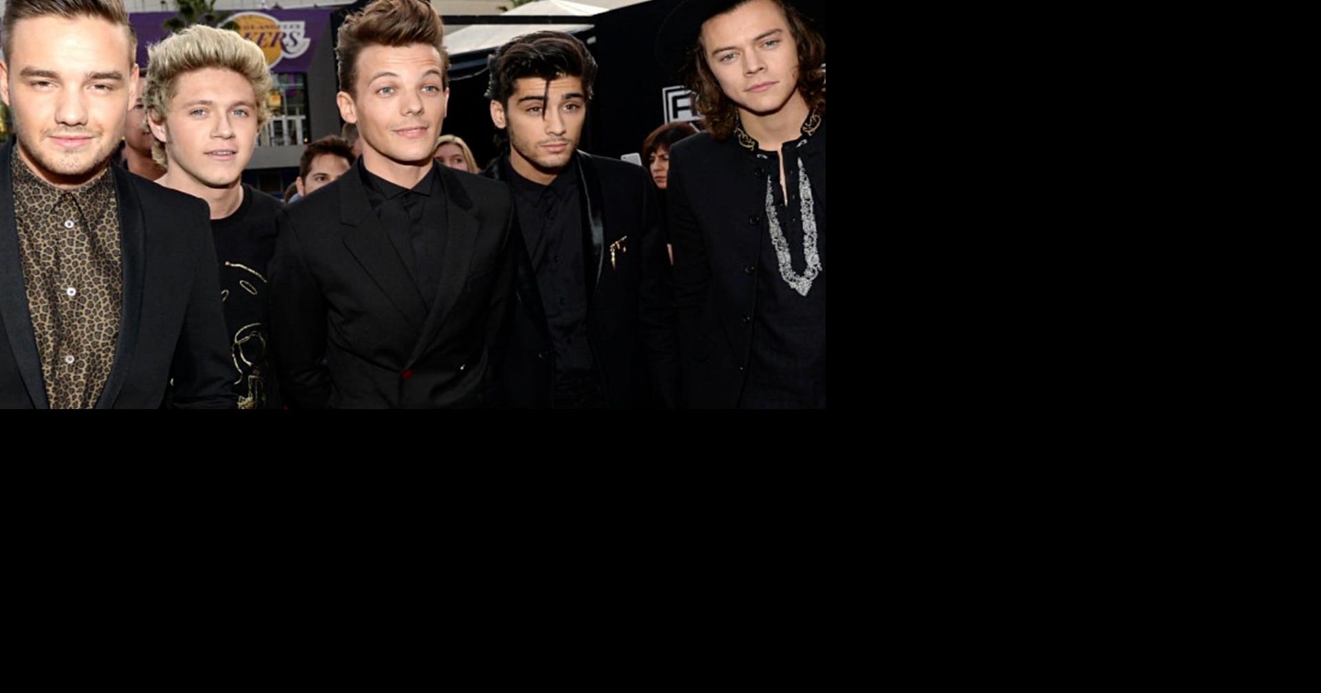 Zayn Malik admits One Direction 'got sick of each other' before split