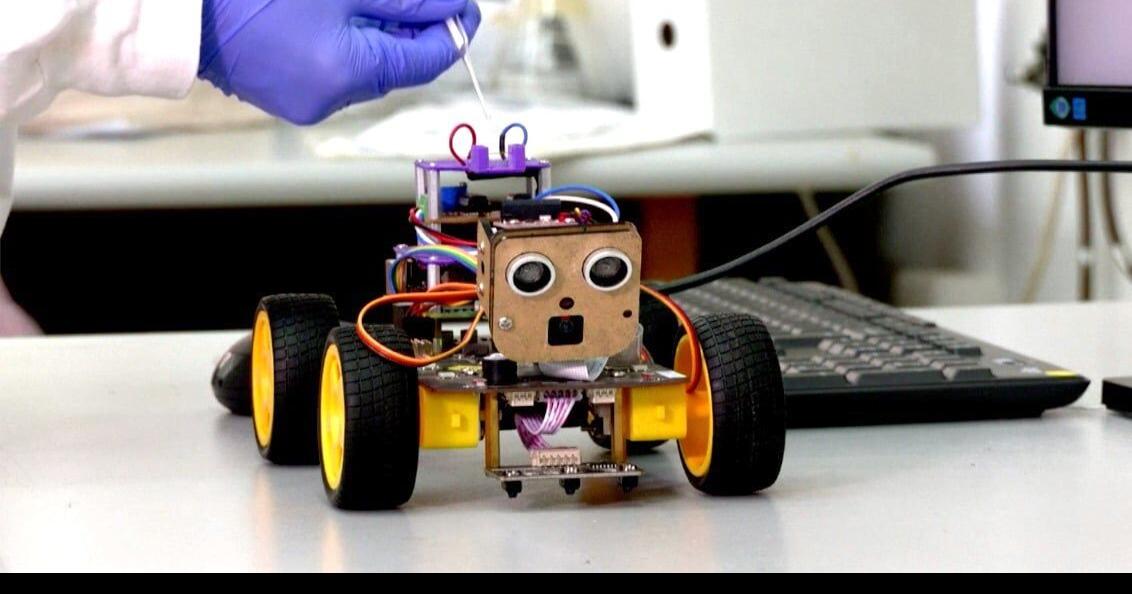 Scientists develop robot that uses locus antennae to sniff out odors