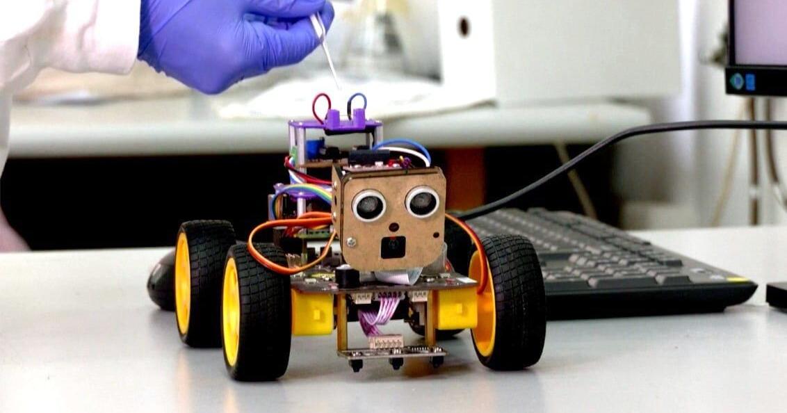 Scientists develop robot that uses locus antennae to sniff out odors Scientists develop robot that uses locus antennae to sniff out odors