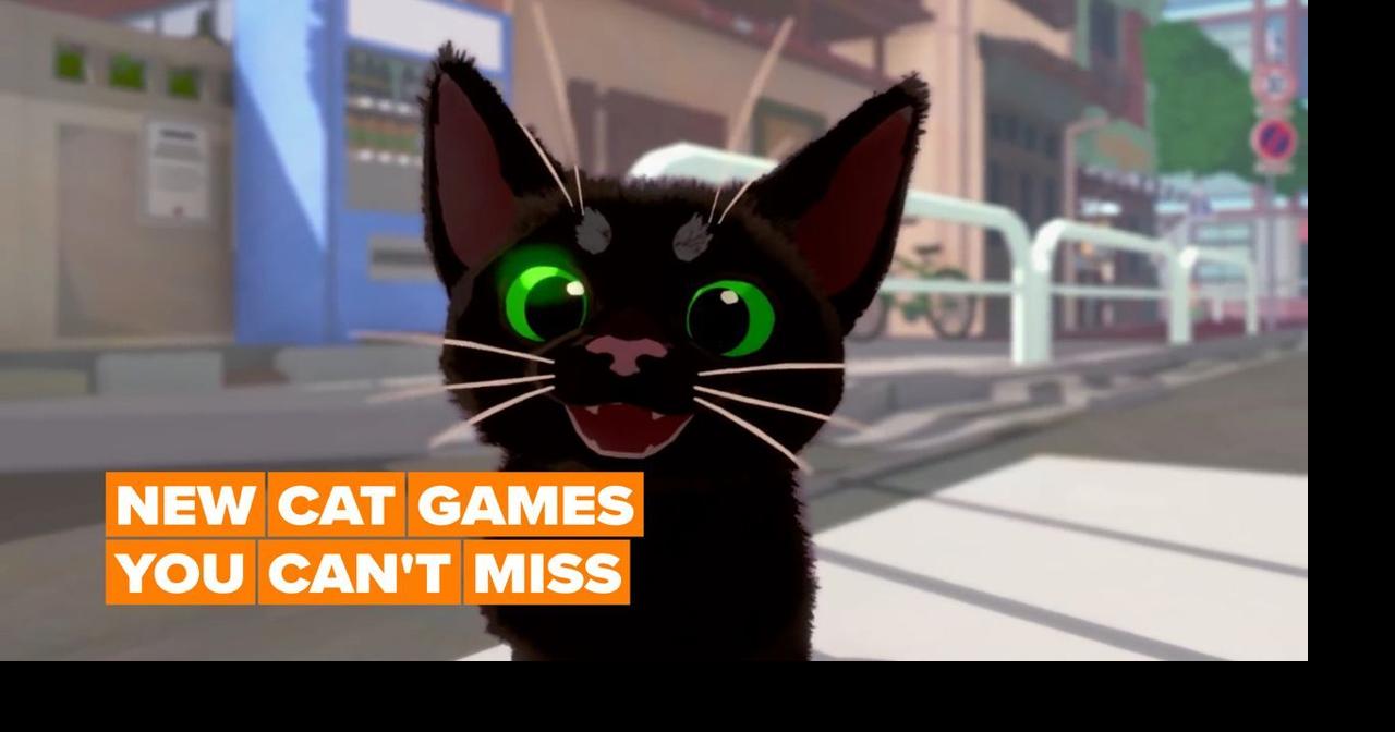 Here are the new cat games you don’t want to miss!