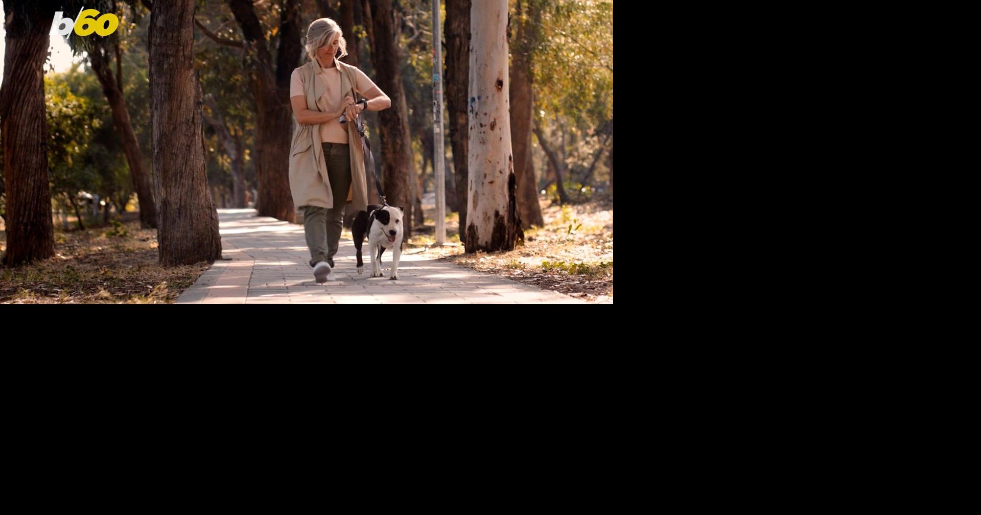 Why Multitasking While Walking Your Dog Isn’t a Good Idea