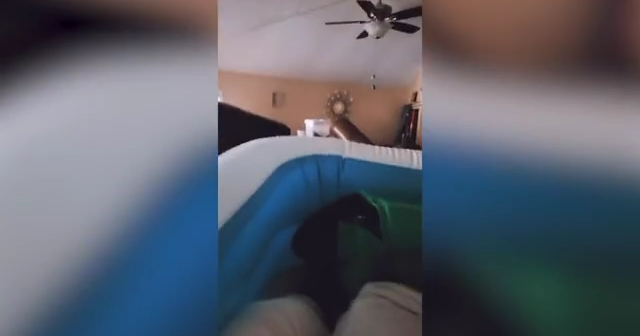 Florida woman stuck in 'floaty pool' during Hurricane Ian goes viral