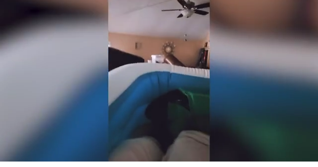 Florida woman stuck in 'floaty pool' during Hurricane Ian goes viral