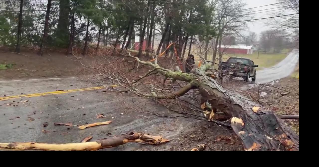 US: Heroic Man With Pickup Truck Clears Fallen Tree After Thunderstorm