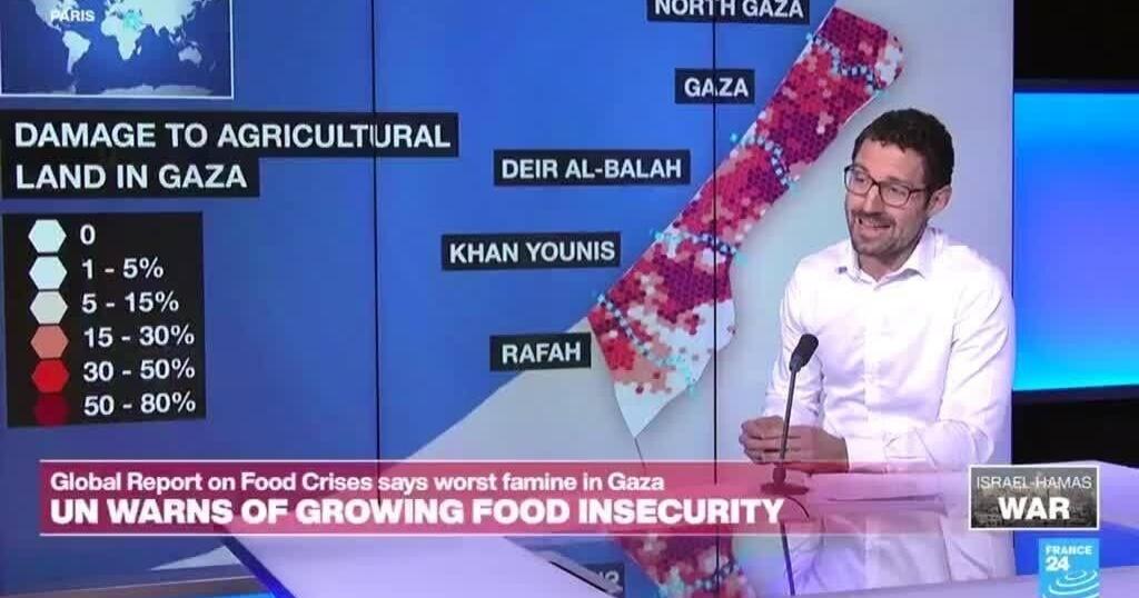 Global Report on Food Crises: Nearly 282 million people faced acute ...