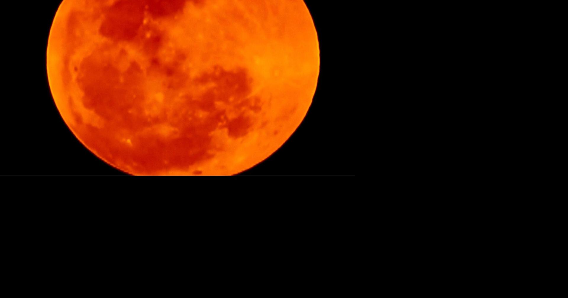 Meteor showers, planets and a total lunar eclipse set to light up the ...