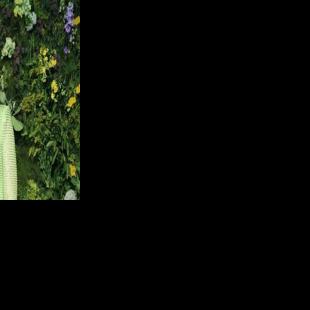 Five Celebrities With Unusual Medical Conditions