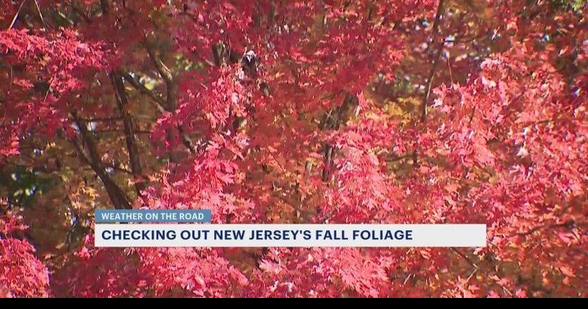 Where to find fall foliage spots in New Jersey