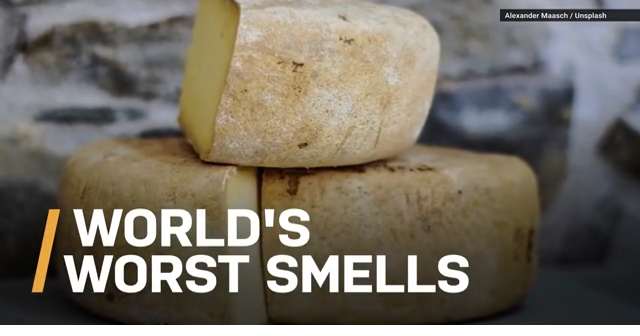 These Smells Are The Worst In The World According To Science