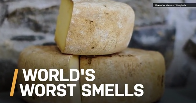 These Smells Are The Worst In The World According To Science