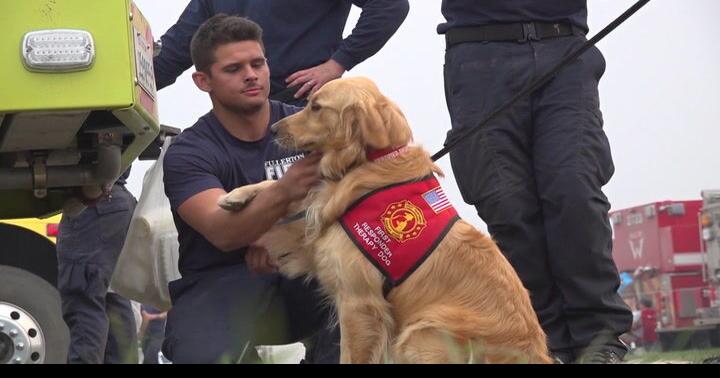 Fire dog helps crews battling biggest wildfire in America