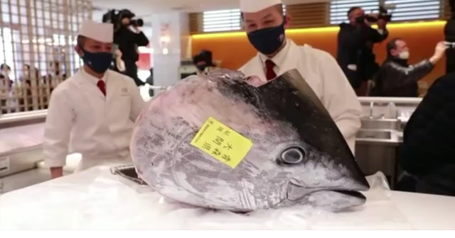 Tuna sells for almost $150,000 in Japan, and more of today's top videos