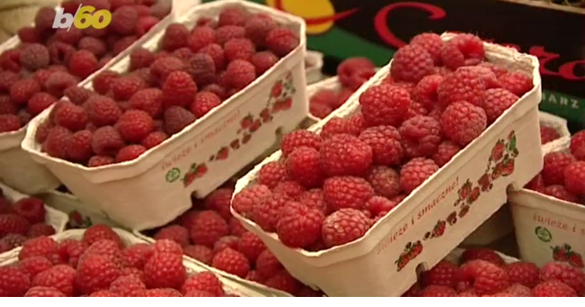Ever get black spots on your raspberries? This is what it could mean