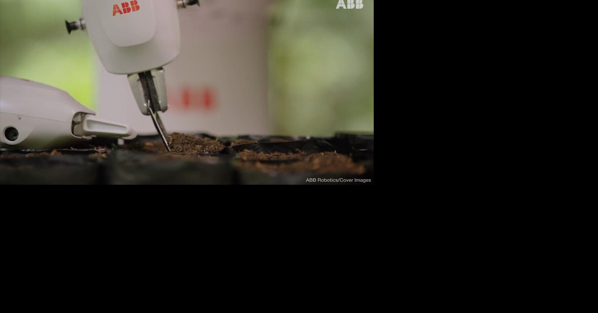 Dual-Armed Robotic Gardener Is Assisting In The Reforestation Of The ...