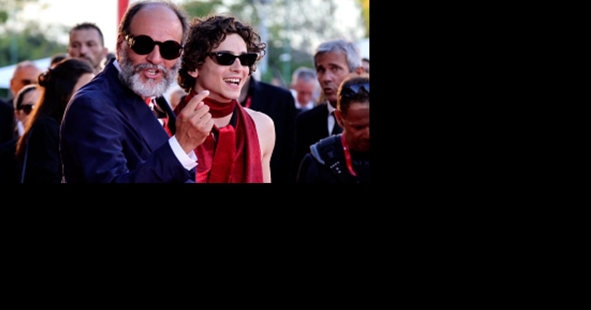 Luca Guadagnino still wants to make 'Call Me by Your Name' follow-up