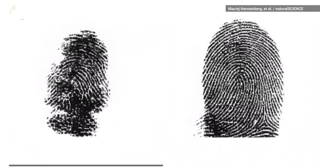 Ever wonder what animal has nearly identical fingerprints to humans?