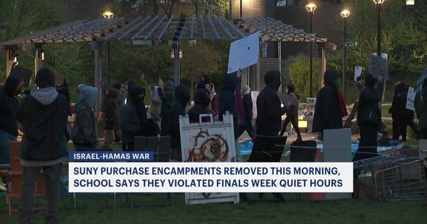 SUNY Purchase protest encampment broken up by university police, school ...