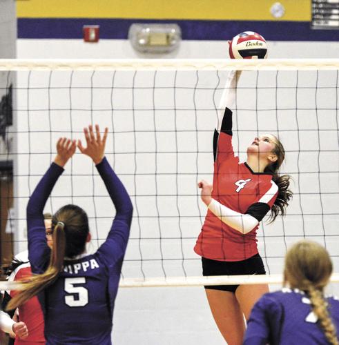 Lady Panthers face Runge to open regional tourney today in Brenham ...