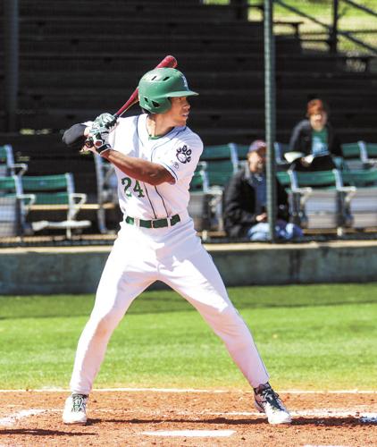 Hoffman, Wellmann named to Chronicle's All-Greater Houston Baseball ...