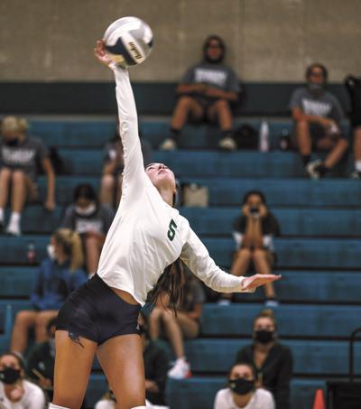 Cubettes improve to 5-0 with triumph over Bryan | Sports ...
