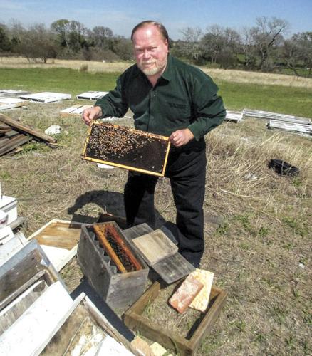 Kelling shares bees' vital role with students | News | brenhambanner.com