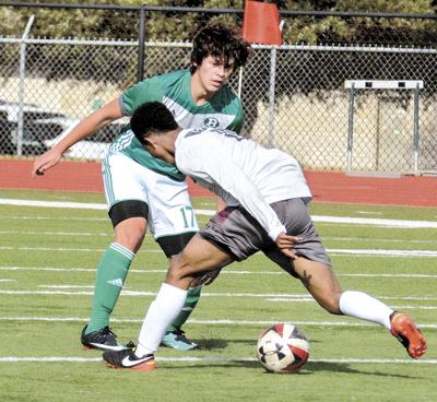 Cubs, Cubettes drop 1-0 decisions | Sports | brenhambanner.com