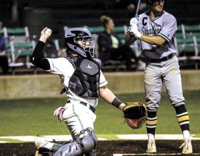 Reese shows poise behind the plate as Cubs’ senior leader | Sports ...