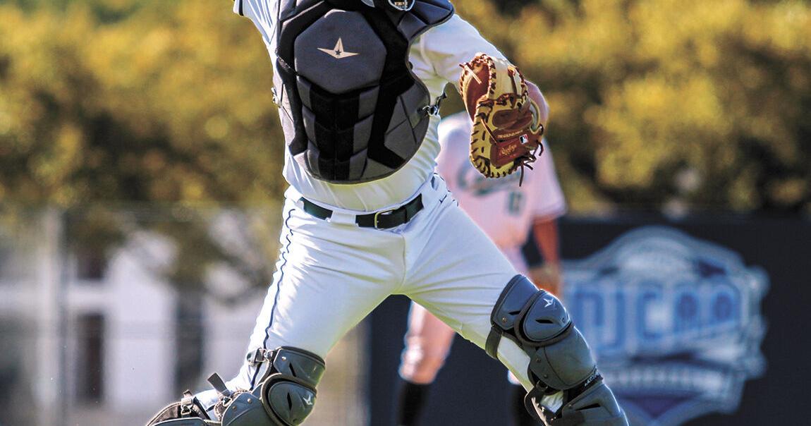 Reese shows poise behind the plate as Cubs’ senior leader | Sports ...