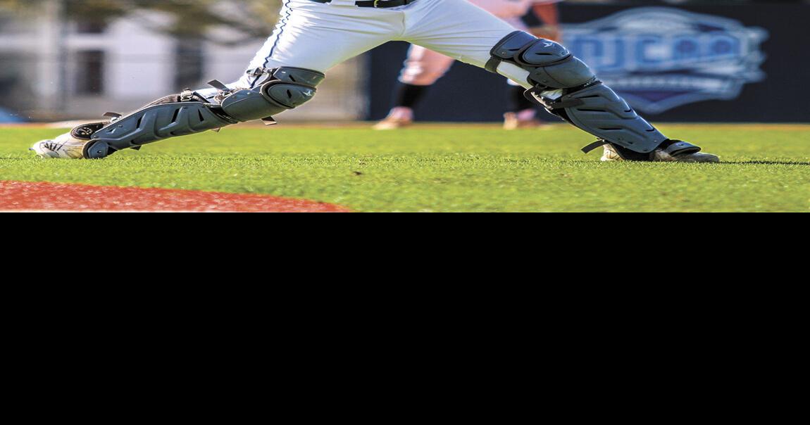 Reese shows poise behind the plate as Cubs’ senior leader | Sports ...