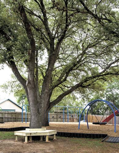 LCRA installs new bench at Jerry Wilson Park | News | brenhambanner.com