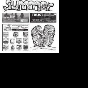 Page D11 | e-Edition | brenhambanner.com