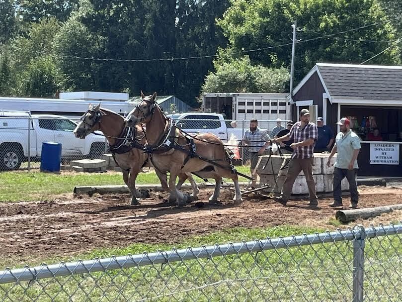 Terryville Lions Country Fair returning for 77th year | News ...