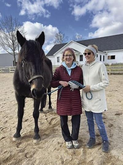 Afficionados to ‘meet and greet’ Shepard staff, horses | News ...
