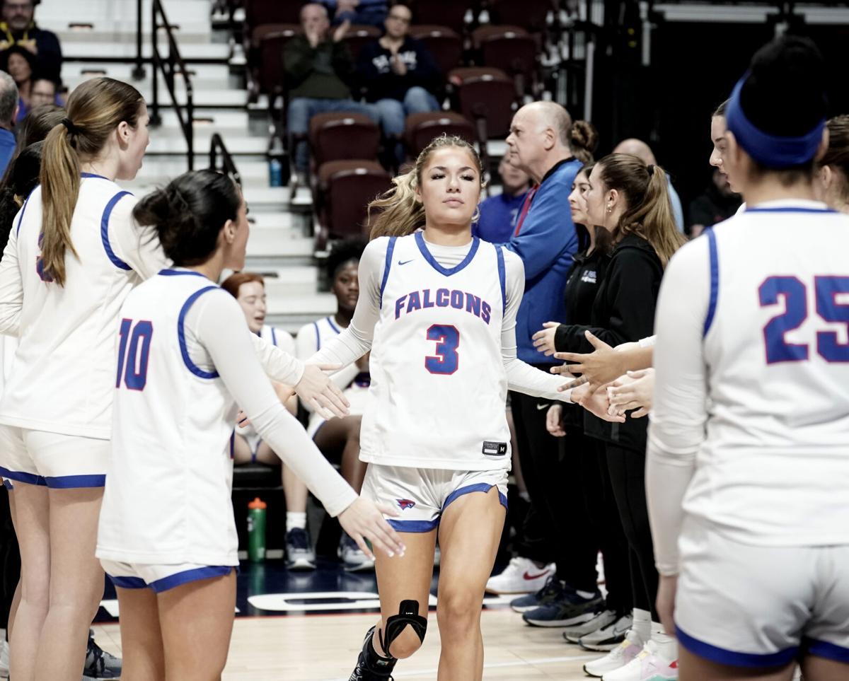 St. Paul’s Tice has had a year to remember as she takes NVL, states top ...