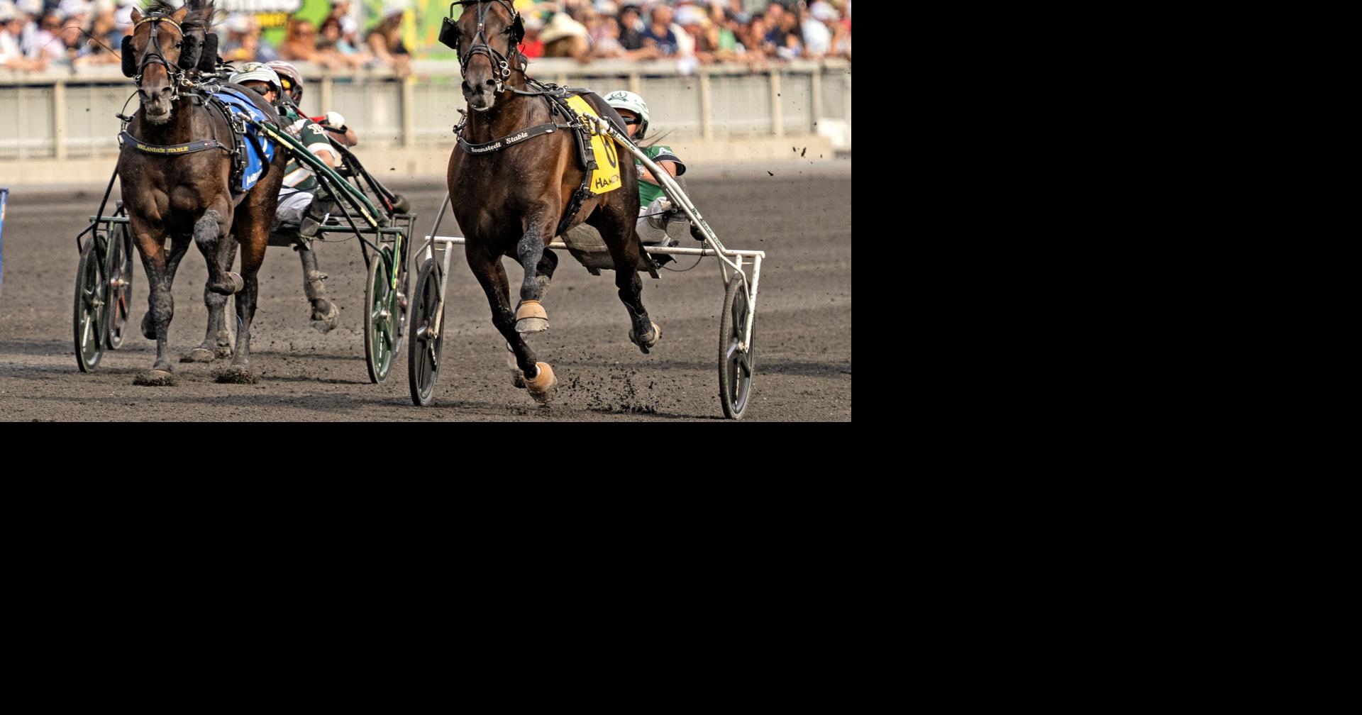 100th Hambletonian won by Nordic Catcher in record time | Sports ...