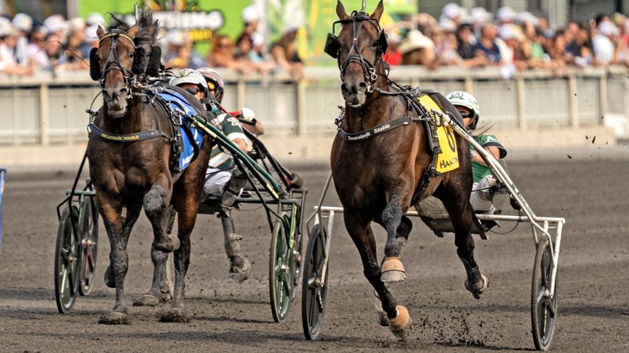 100th Hambletonian won by Nordic Catcher in record time | Sports ...