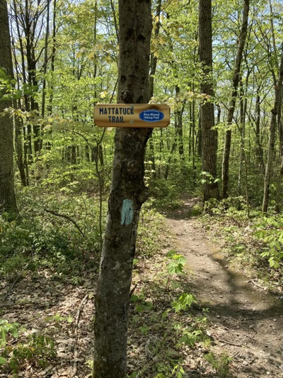 Explore history of Mattatuck with guided tour June 7 | News ...