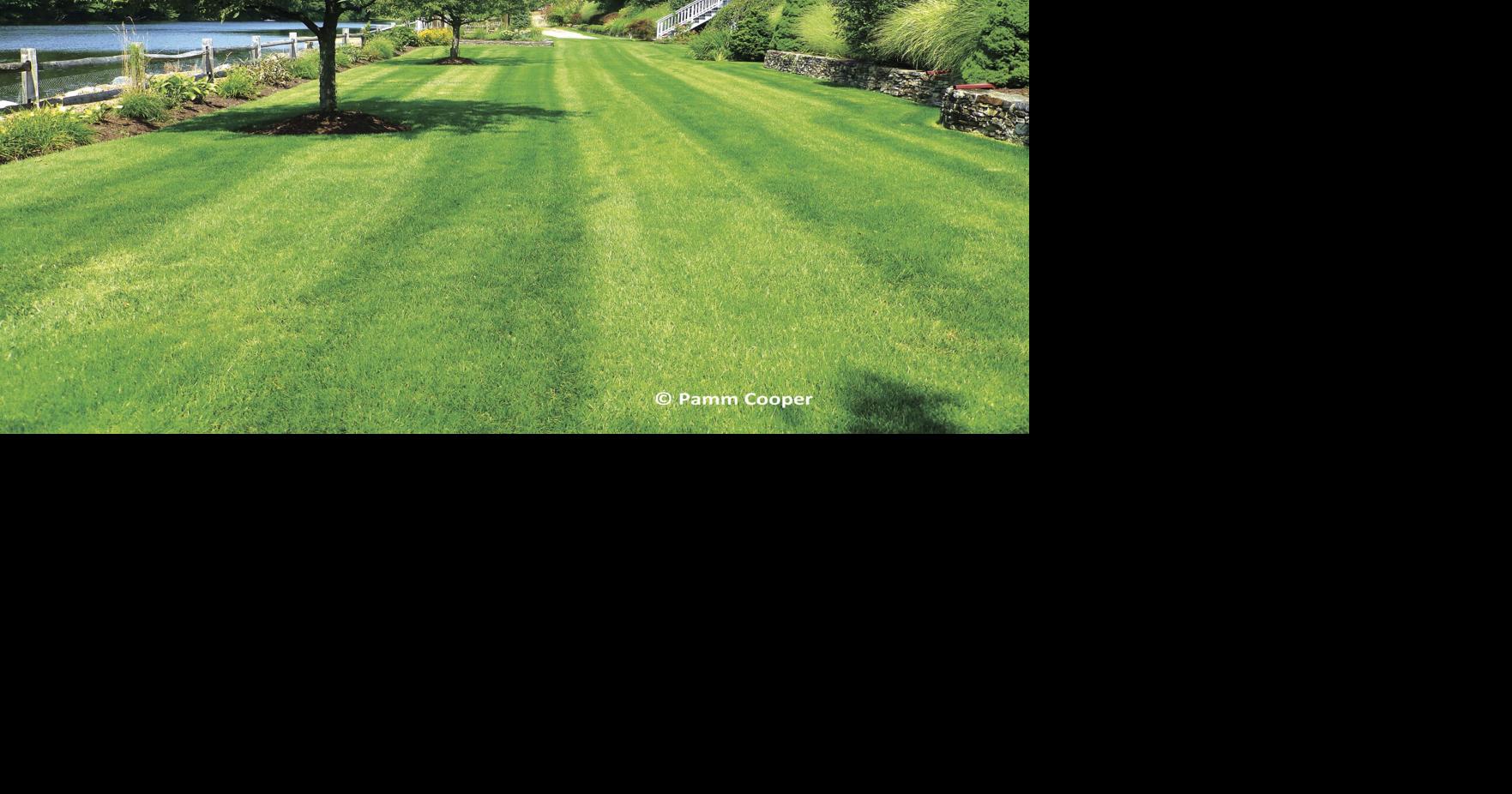 Some spring lawn care tips | News | bristolpress.com