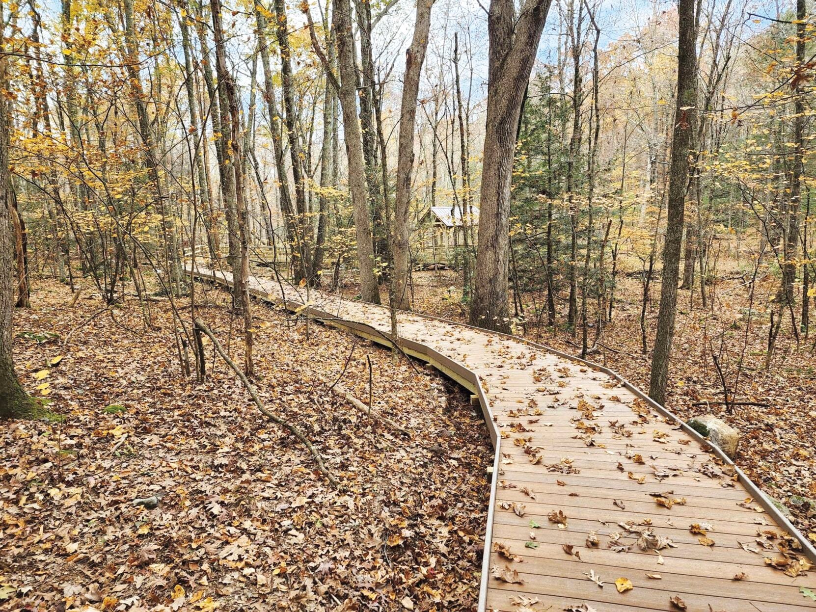 Fully handicapped accessible Barnes Nature trail on track to open ...