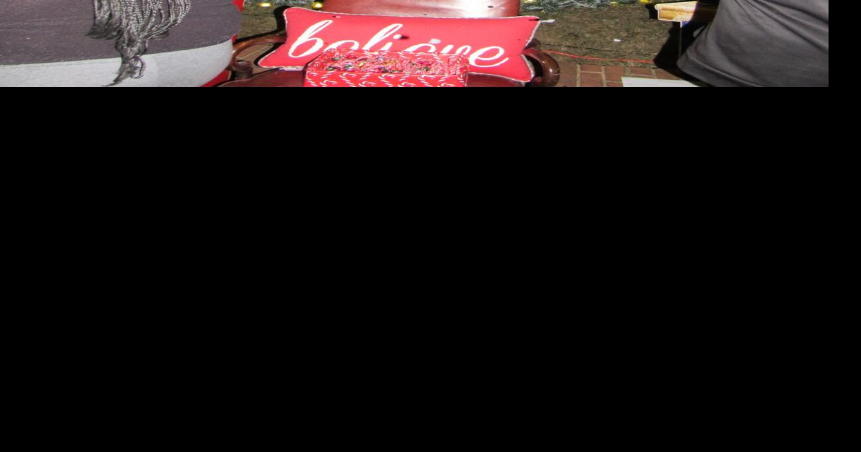 Tree Lighting Ceremony starts holiday season | News | brunswicktimes ...