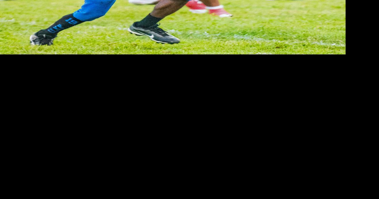 Phoenix roll over Bulldogs 51-14 in opener | | brunswicktimes-gazette.com