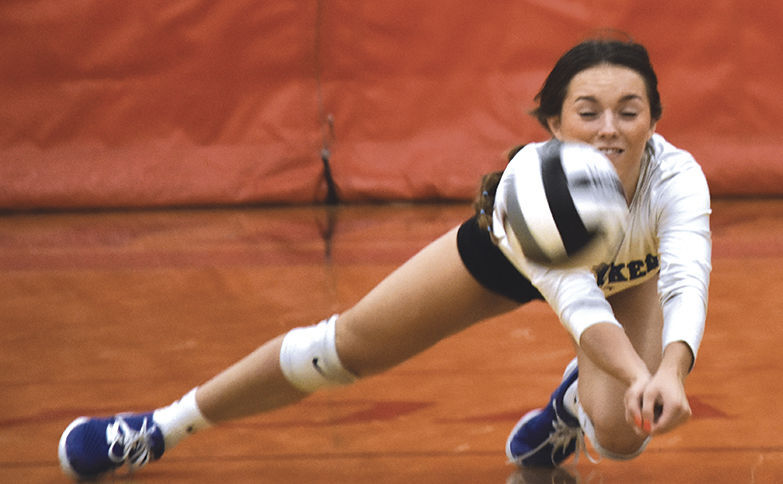 Stryker's Woolace earns 2,000th career dig, Panthers fall to Wauseon ...