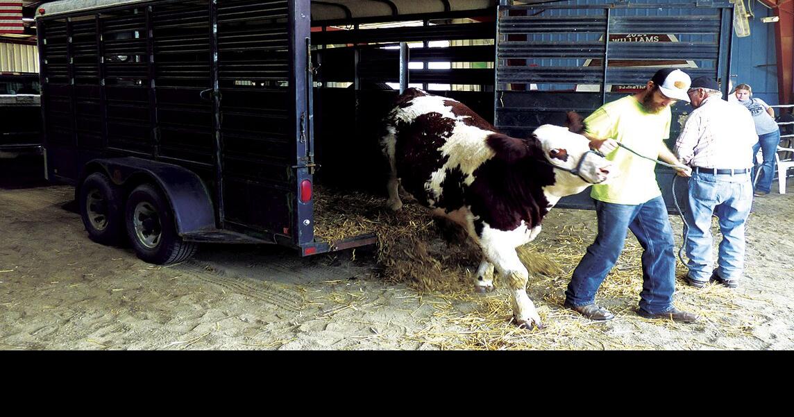 Unloading animals | News | bryantimes.com