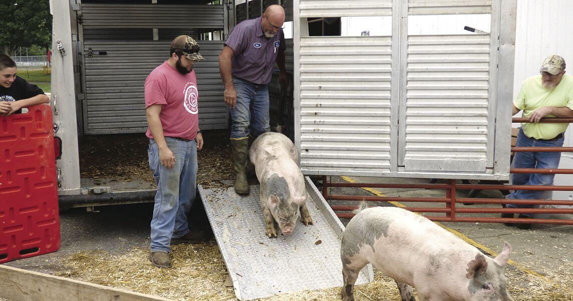 Williams County Fair opens Saturday | Local News | bryantimes.com