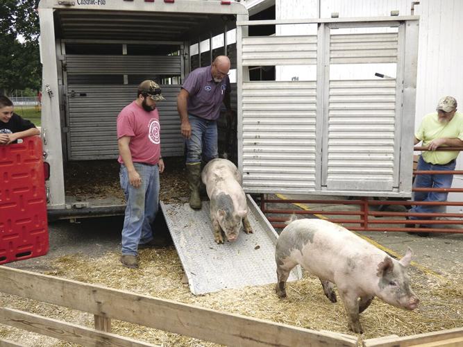 Williams County Fair opens Saturday | Local News | bryantimes.com