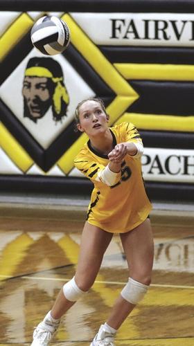 Fairview's Crites tabbed Division III District 7 player of the year ...