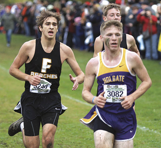 Fairview's Rohrs leads area runners at Division III regional meet ...
