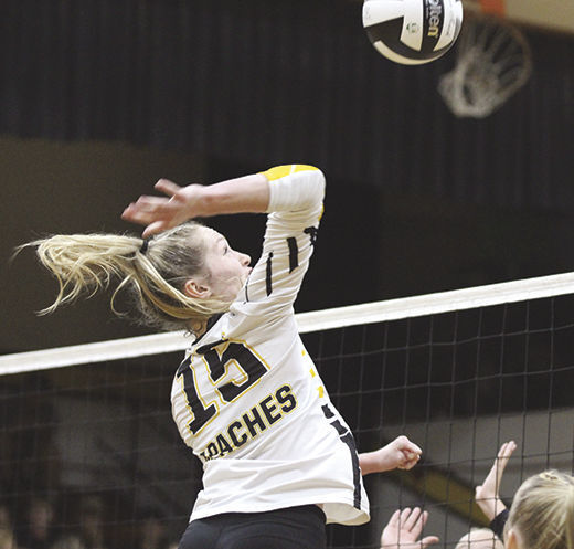 Fairview's Ricica, Crites, Edgerton's Walther earn all-GMC 1st-team ...